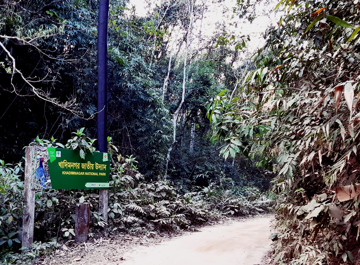 Khadimnagar National Park Sylhet | খাদিমনগর জাতীয় উদ্যান ভ্রমণ