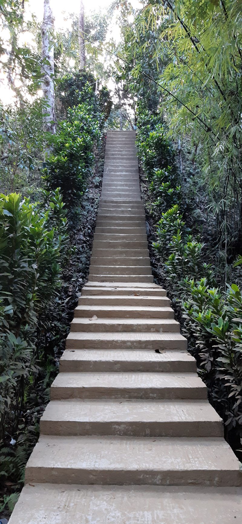 Khadimnagar National Park Sylhet | খাদিমনগর জাতীয় উদ্যান ভ্রমণ